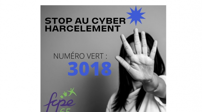 La Reconnaissance Du Cyber Harcèlement Fcpe